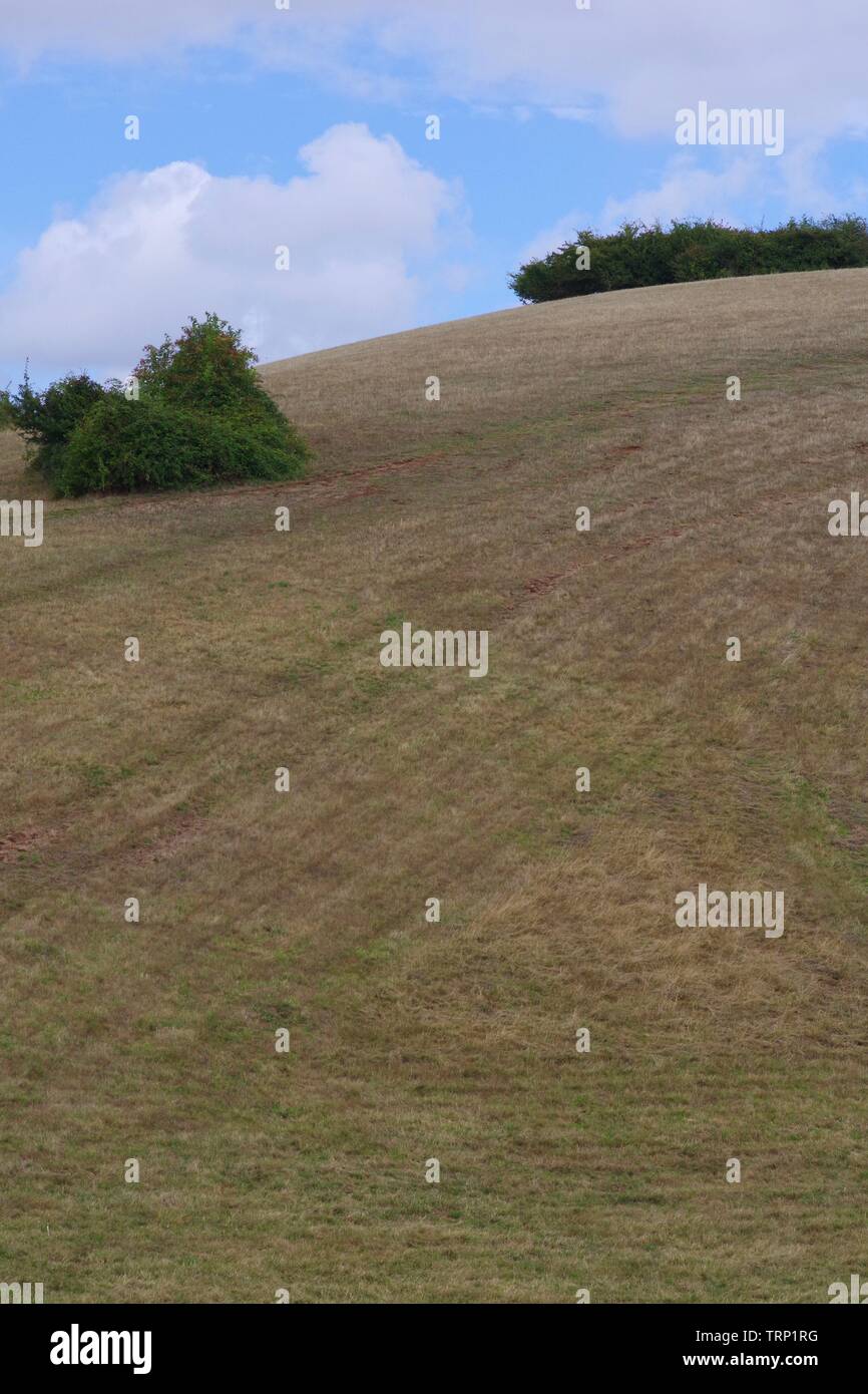 Ludwell Valley Park, Dry Summer Grassland. Rolling Farming Landscape ...