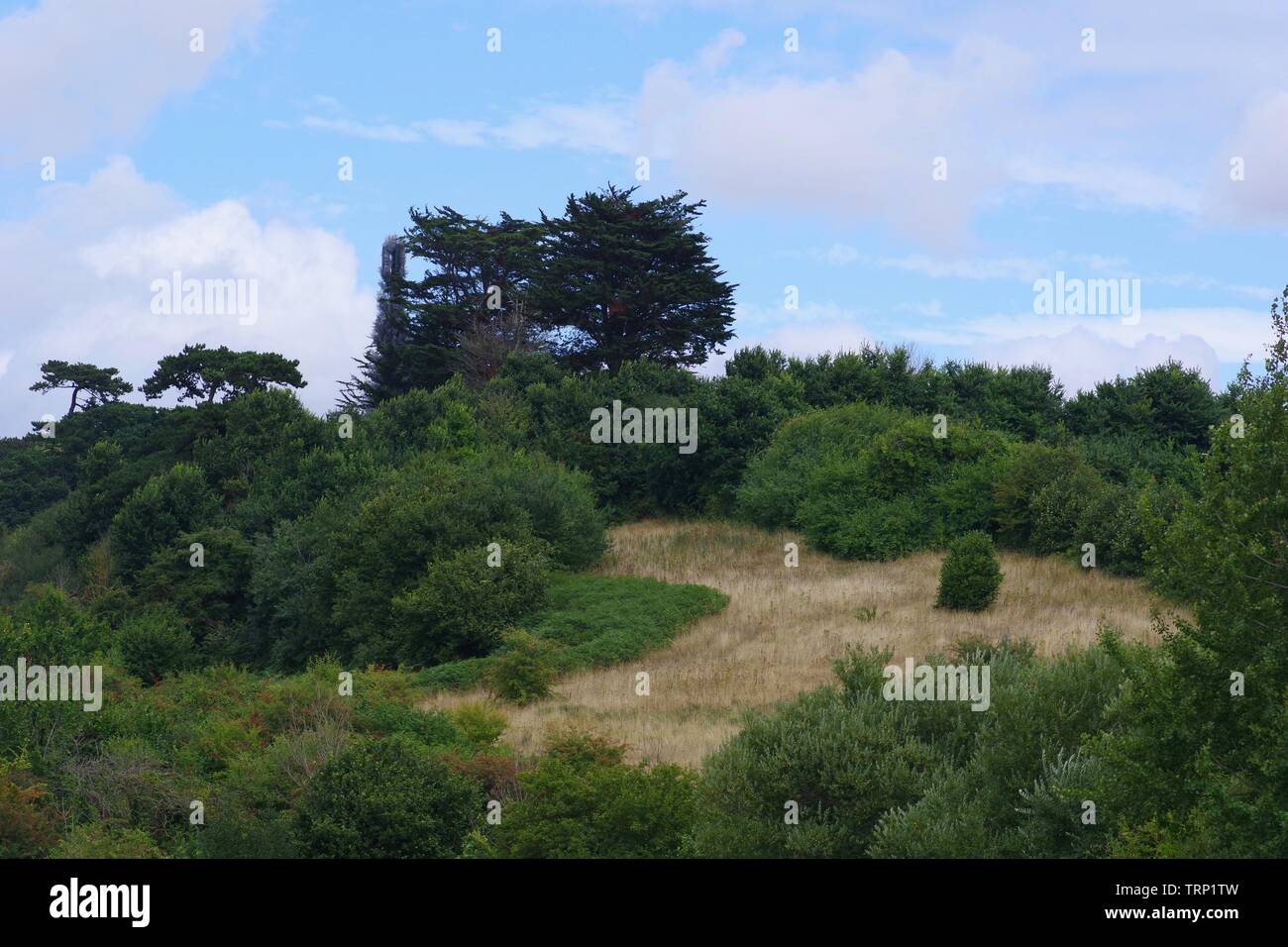 Ludwell Valley Park, Dry Summer Grassland. Rolling Farming Landscape ...