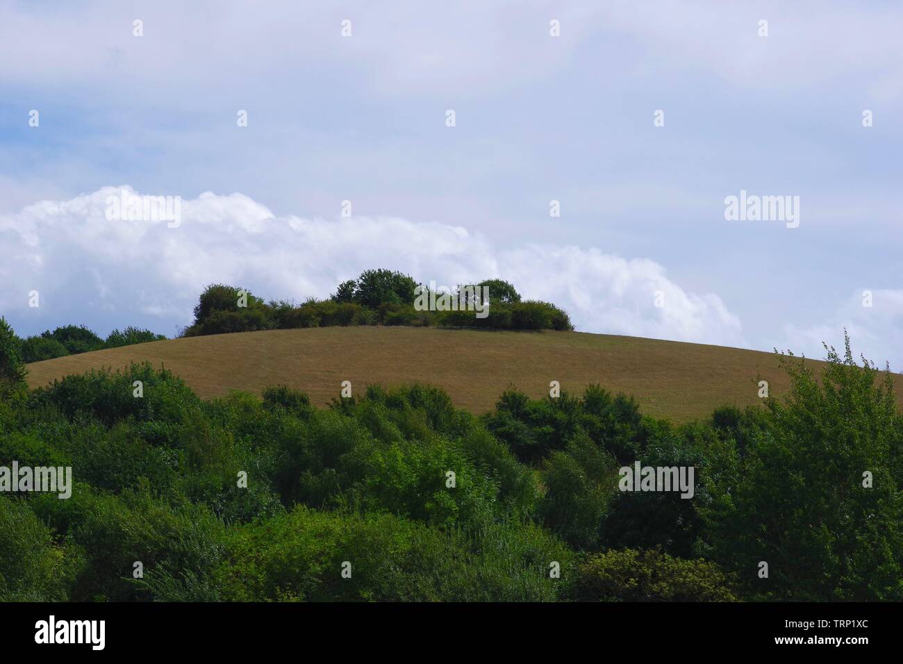 Ludwell Valley Park, Dry Summer Grassland. Rolling Farming Landscape ...