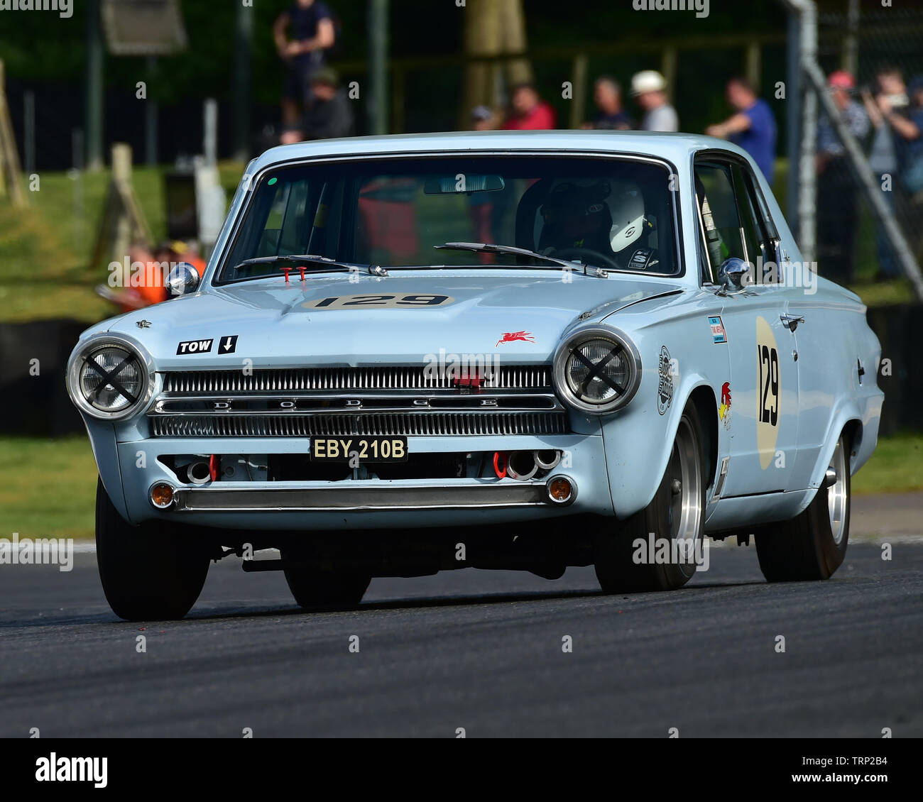 Chris Wilson, Dodge Dart, Bernies V8s, Classic US Muscle Cars, American ...