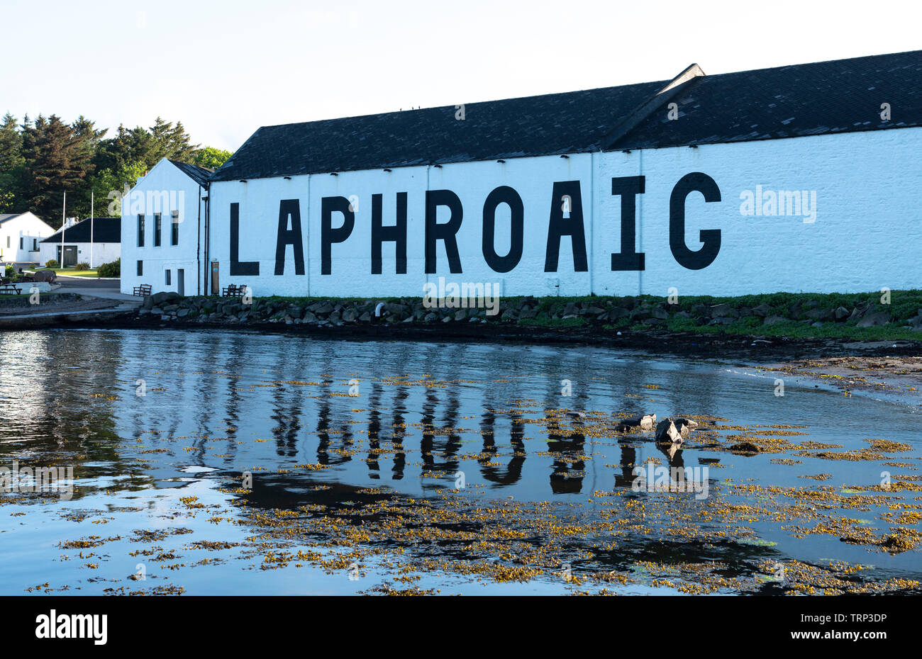 View of Laphroaig Distillery on island of Islay in Inner Hebrides of ...