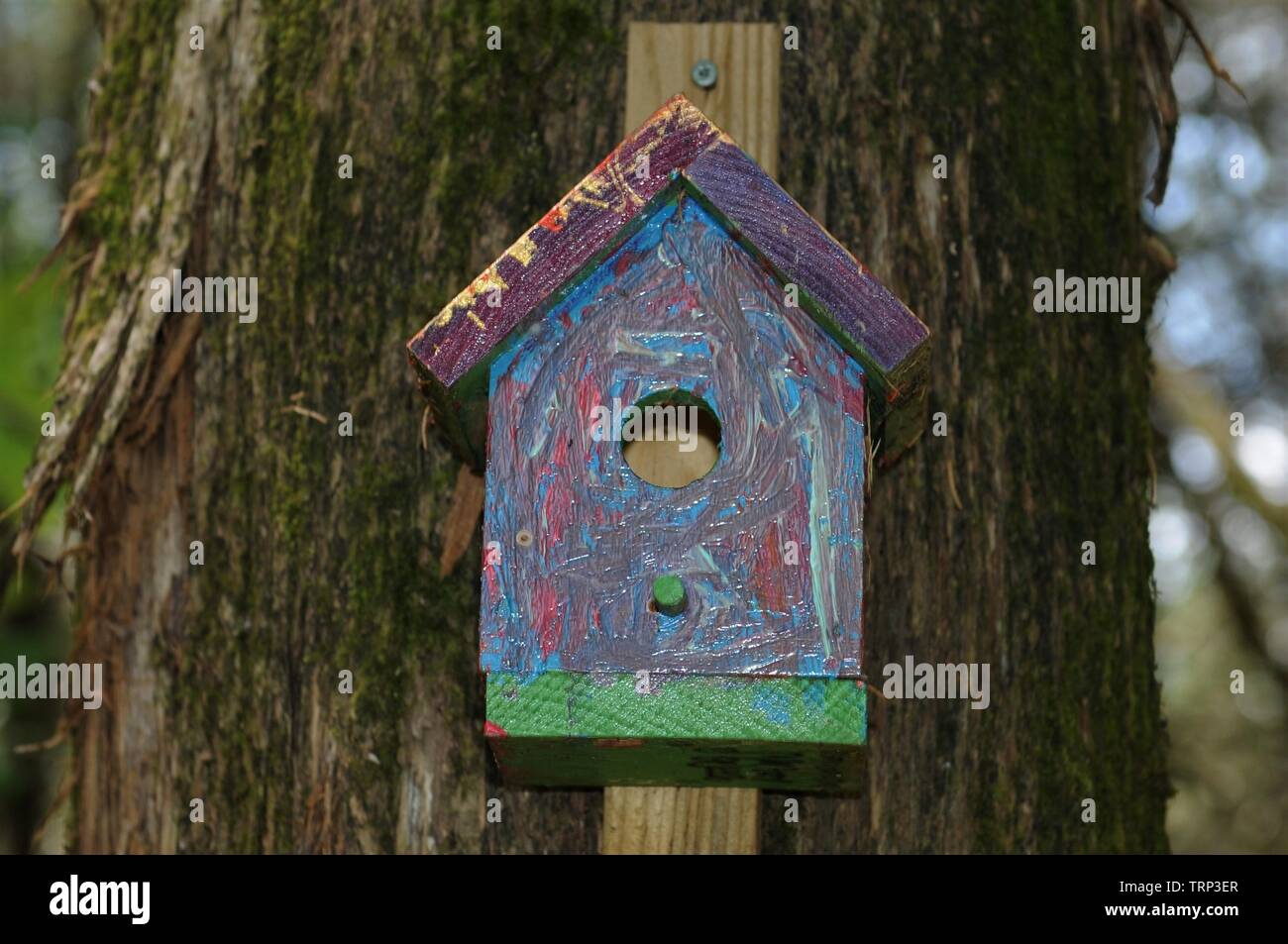 The psychedelic bird house Stock Photo - Alamy