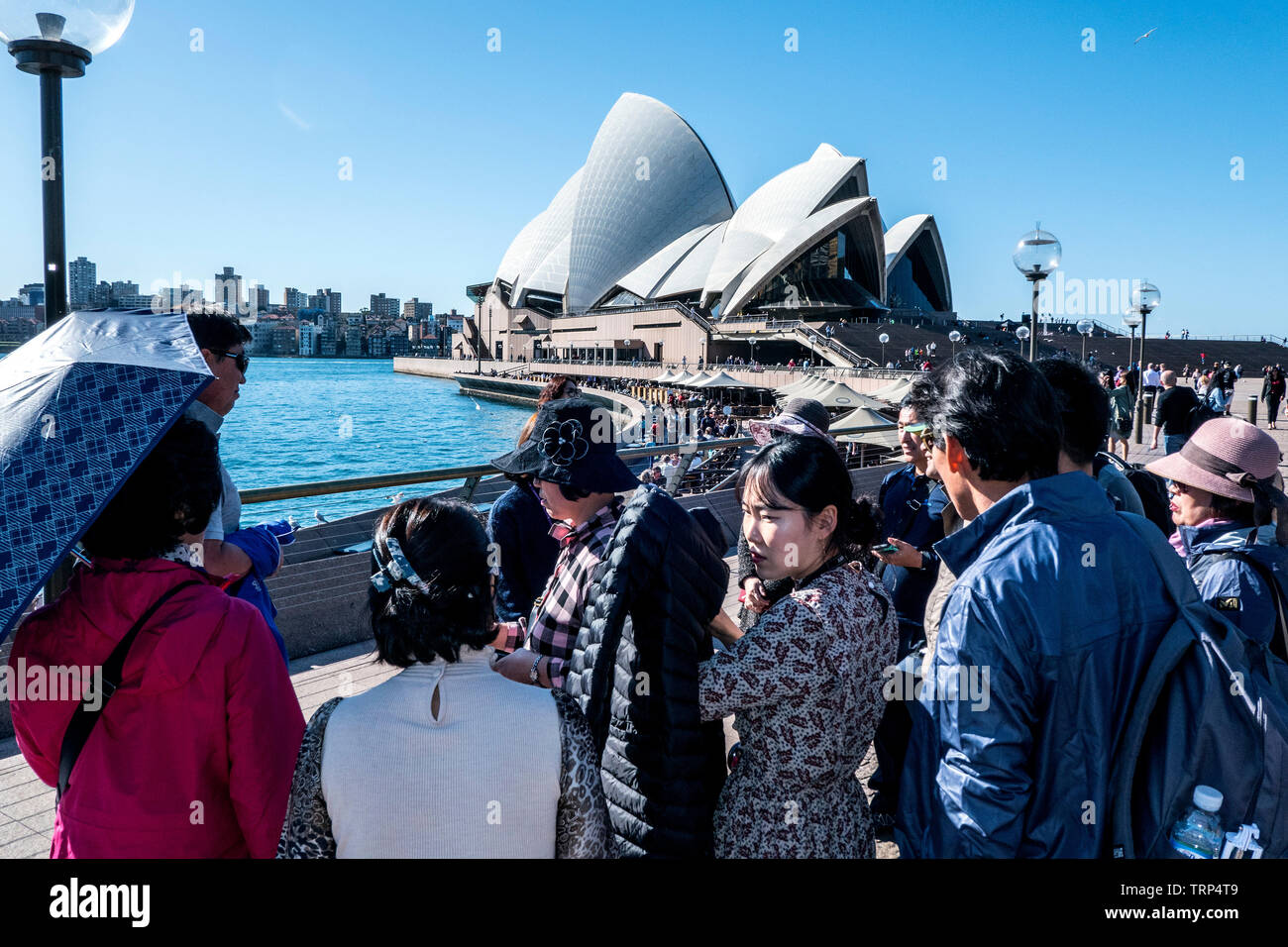 Tour group Sydney Opera House Australia Stock Photo - Alamy