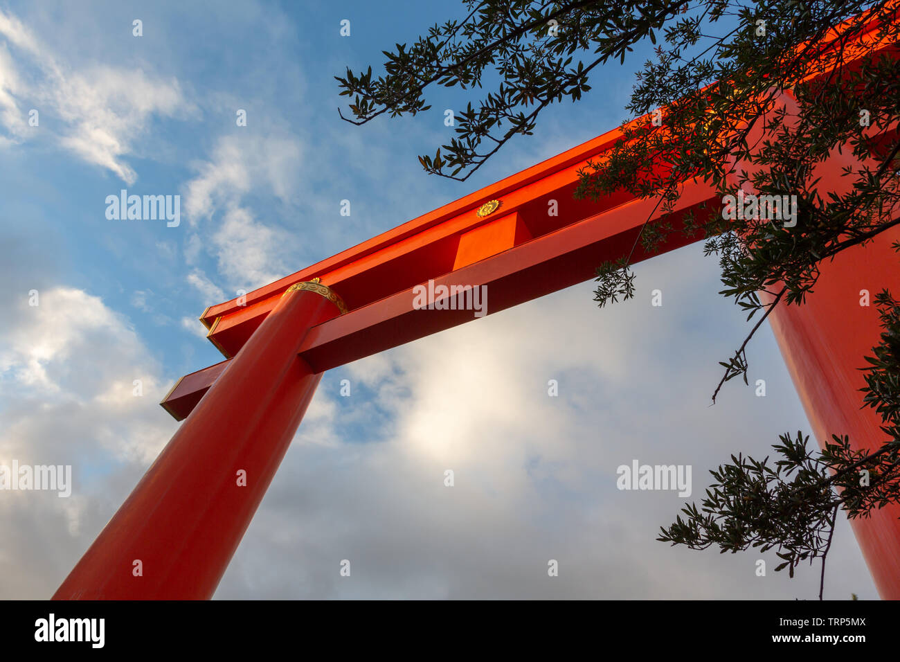 Kyoto japan torii hi-res stock photography and images - Alamy