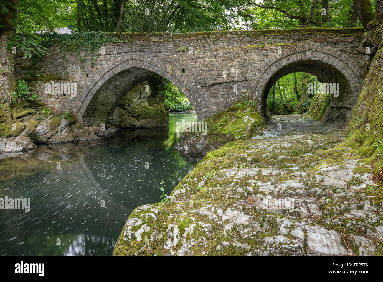 Denham Bridge over the River Tavy is popular with thrill seekers who ...