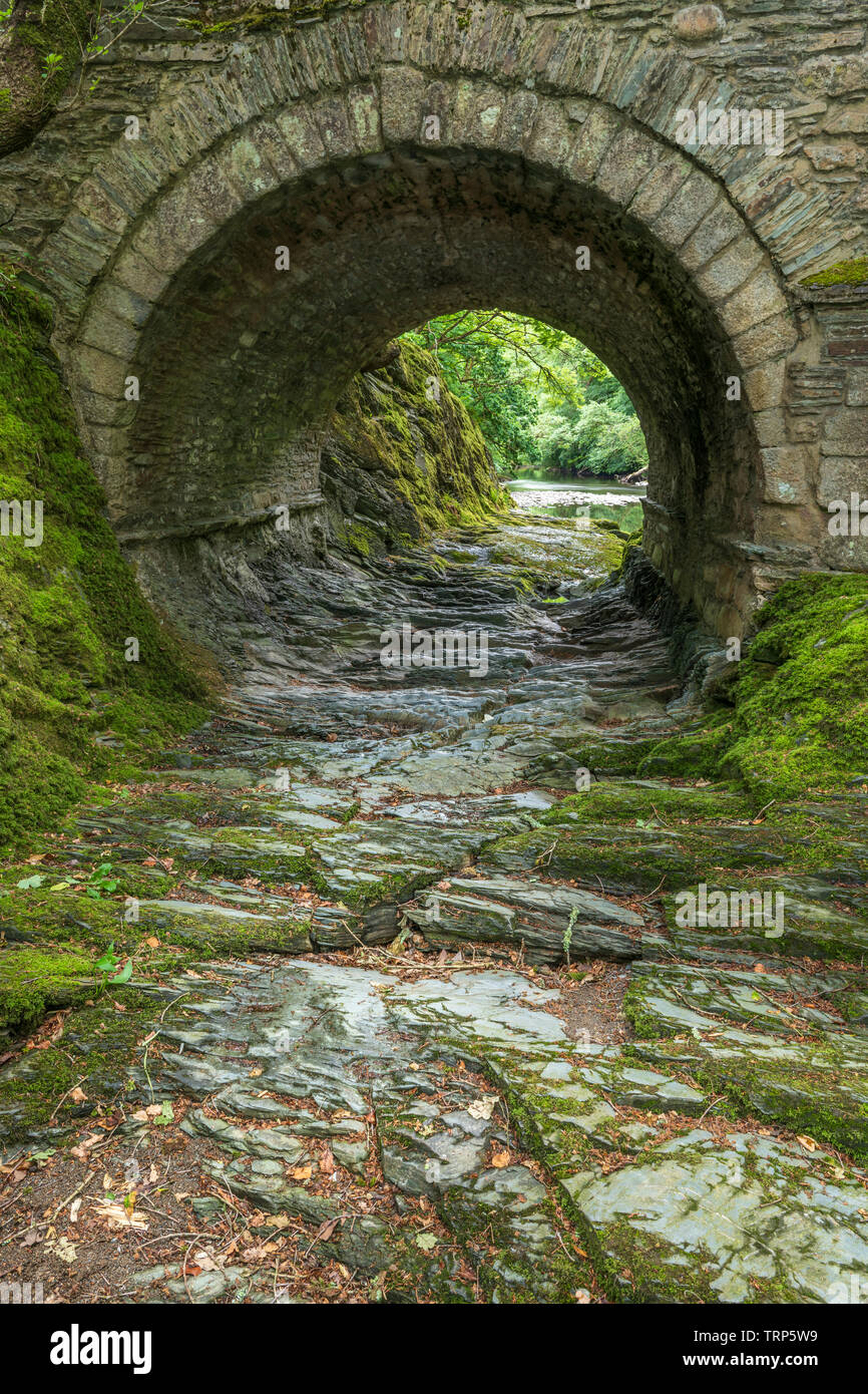 Denham Bridge over the River Tavy is popular with thrill seekers who ...