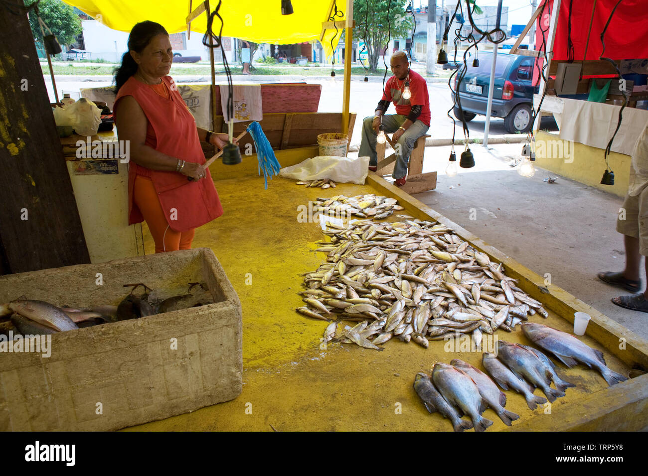 Fresh fish, Porto, Amazônia, Manaus, Amazonas, Brazil Stock Photo - Alamy
