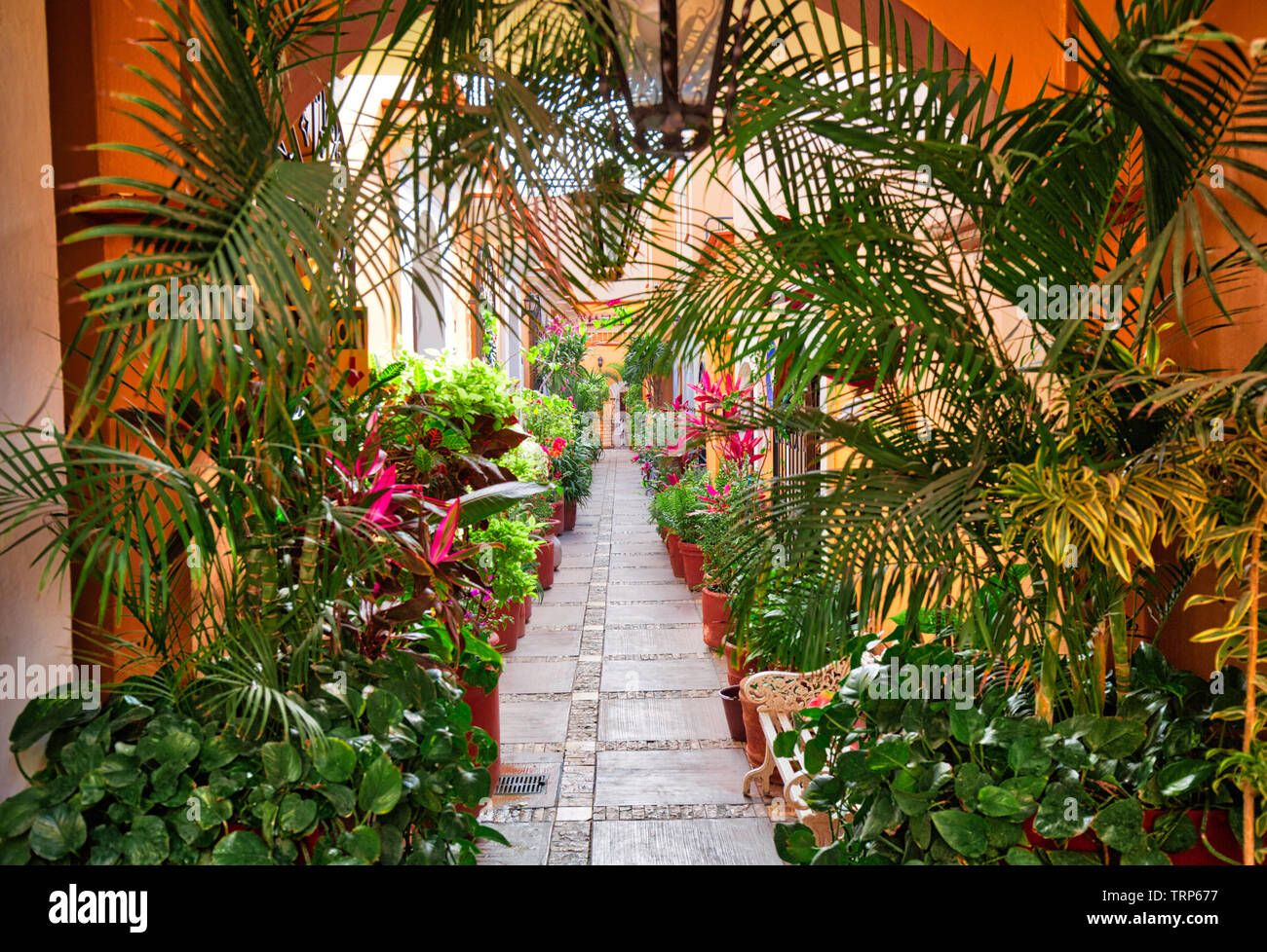 Scenic old city streets and colorful colonial buildings in historic ...