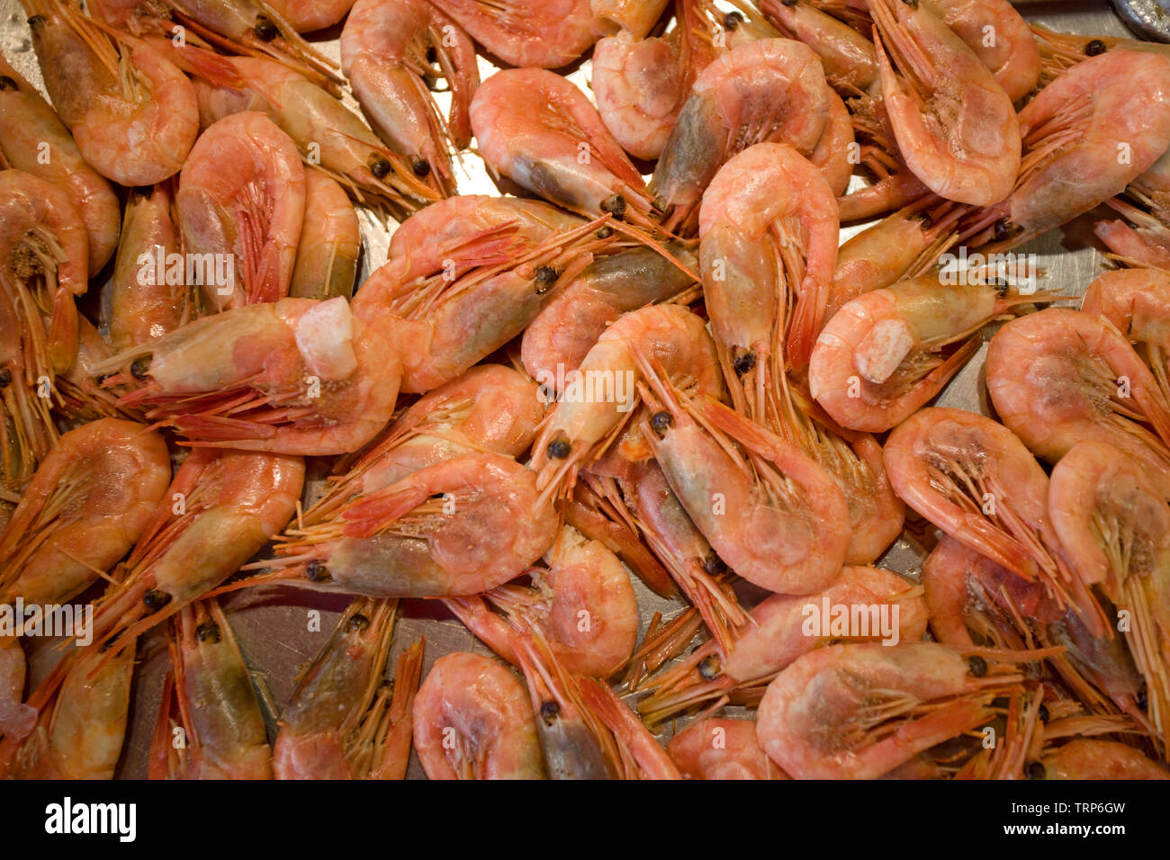 Shellfish assortment hi-res stock photography and images - Alamy