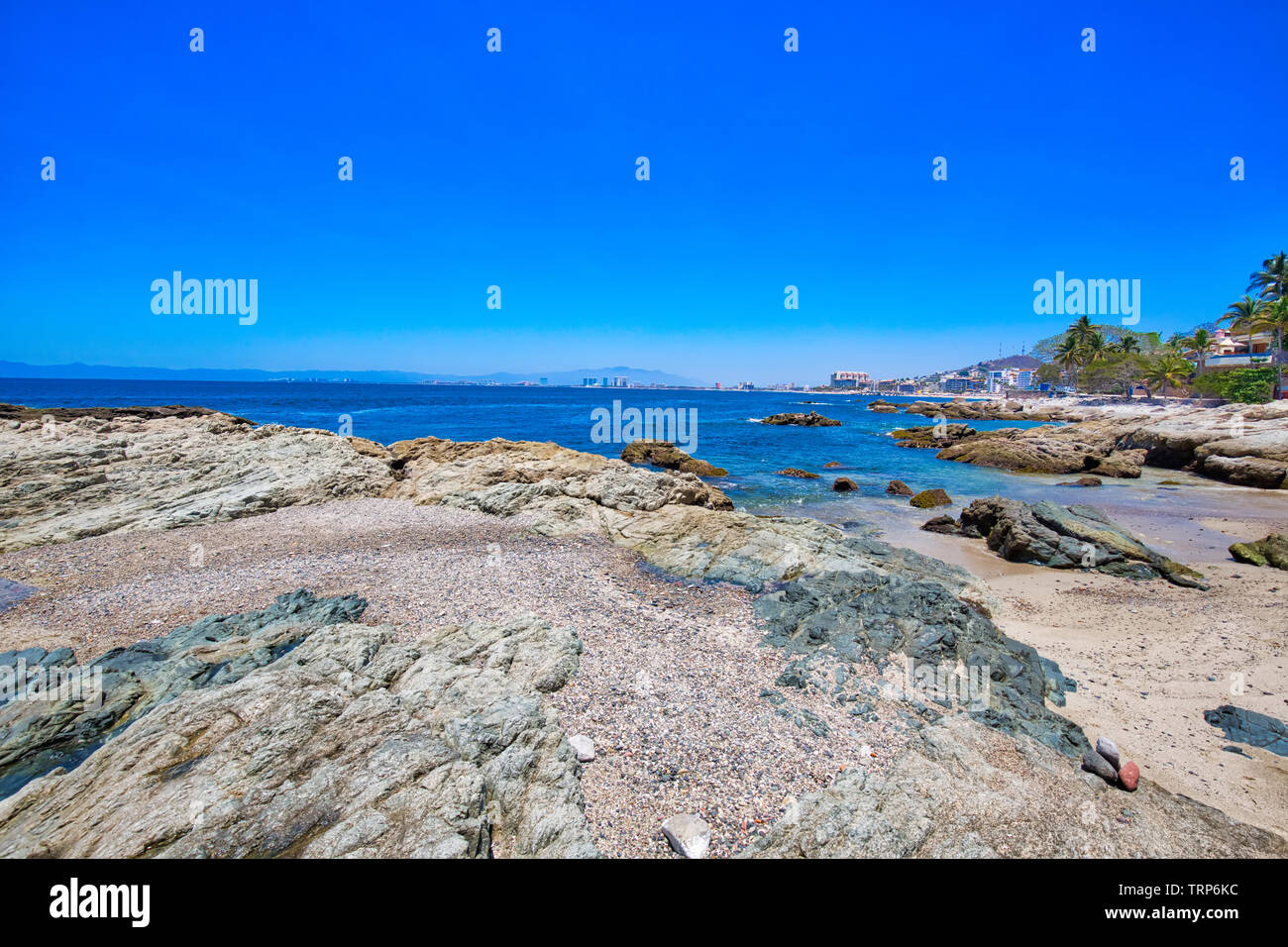 Conchas chinas puerto vallarta hi-res stock photography and images - Alamy