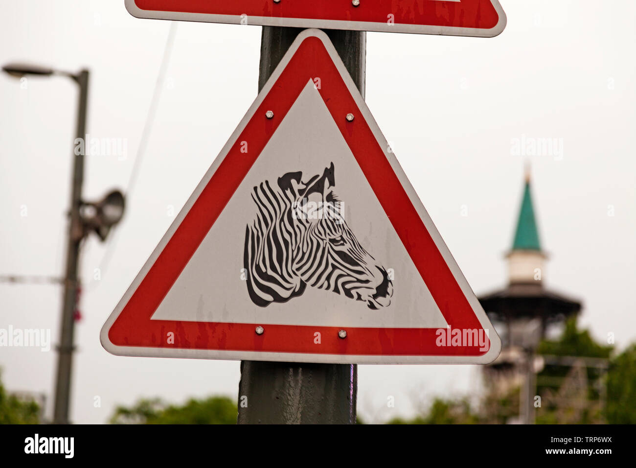 traffic sign depicting a zebra Stock Photo - Alamy