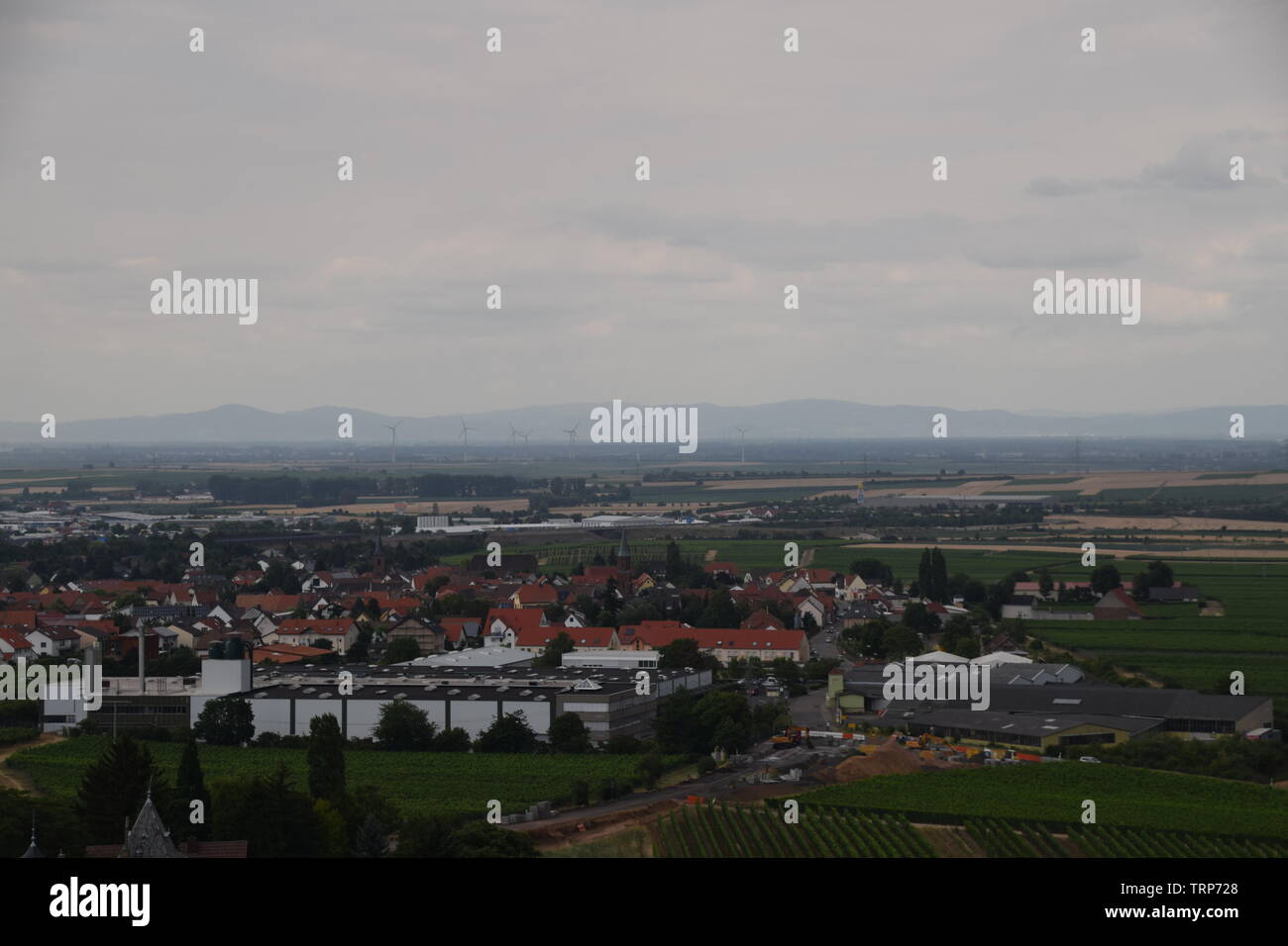 Neuleiningen Castle Stock Photos & Neuleiningen Castle Stock Images - Alamy