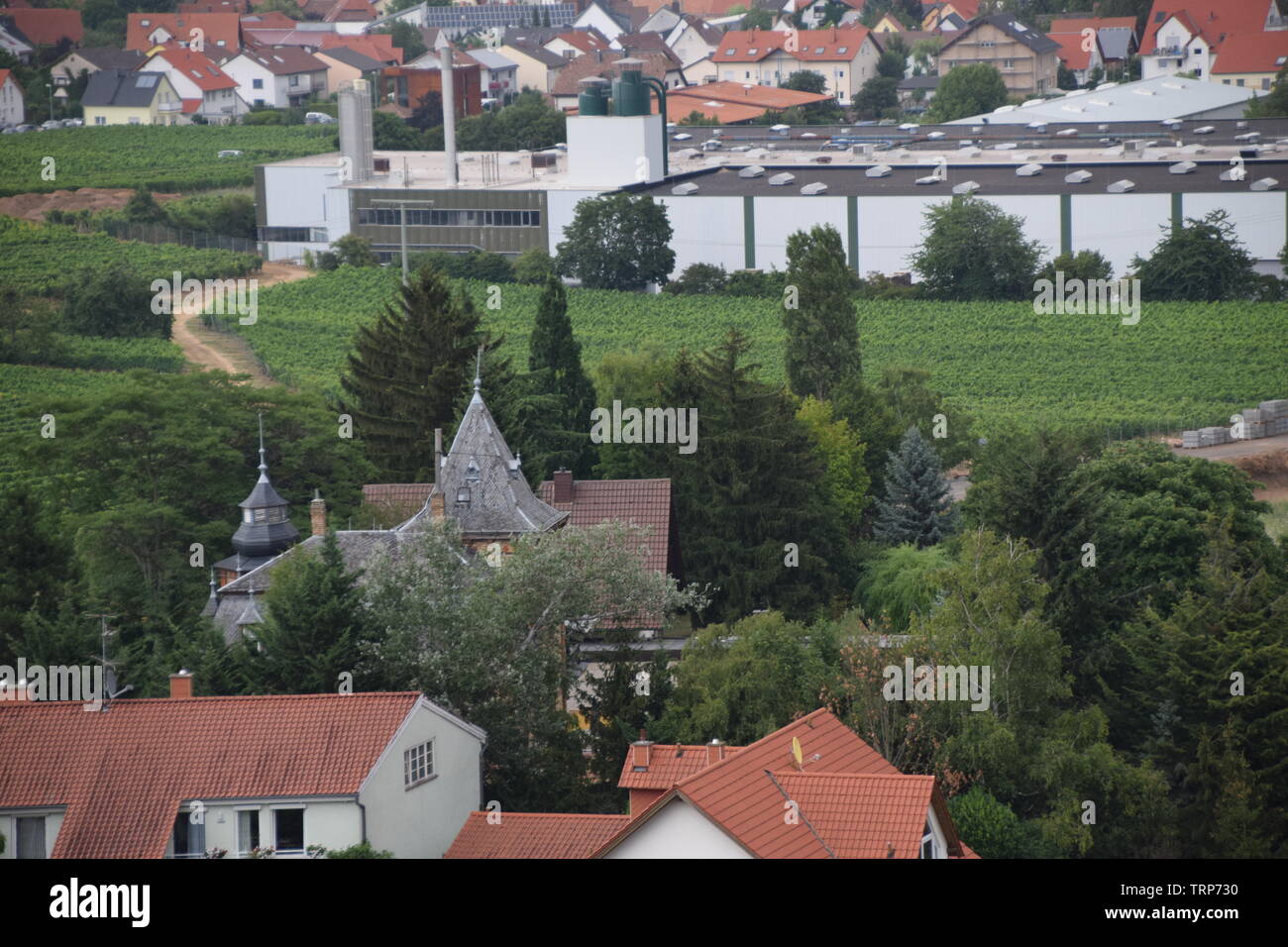 Neuleiningen castle hi-res stock photography and images - Alamy