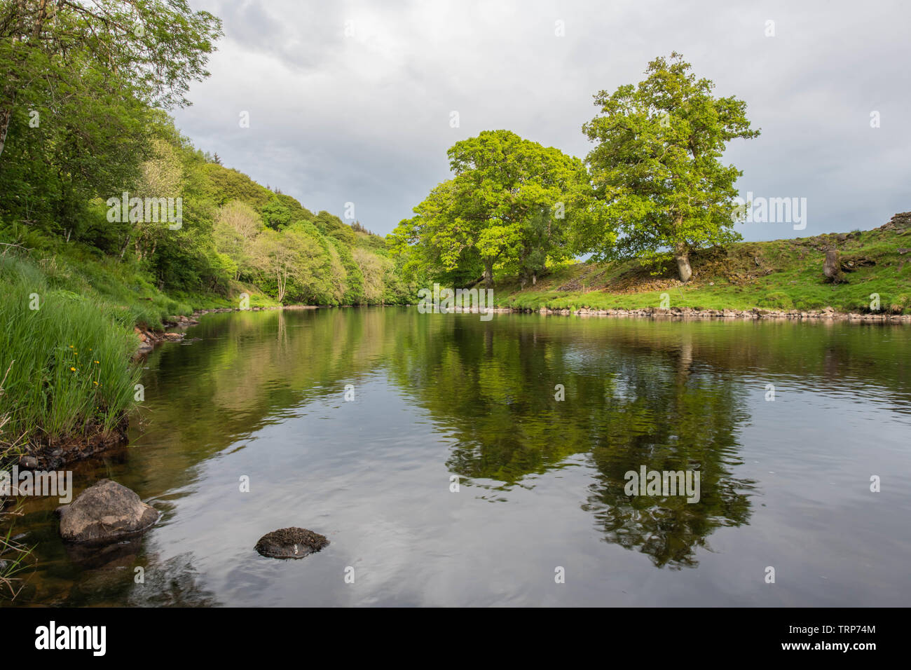 Mountain, Forest, River Stock Photo - Alamy