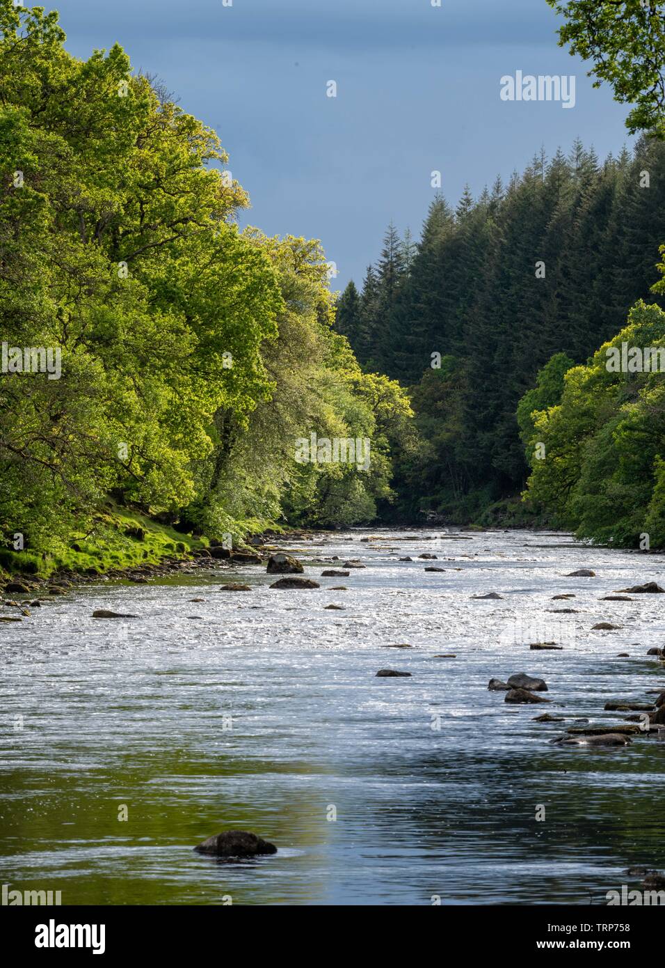 Mountain, Forest, River Stock Photo - Alamy