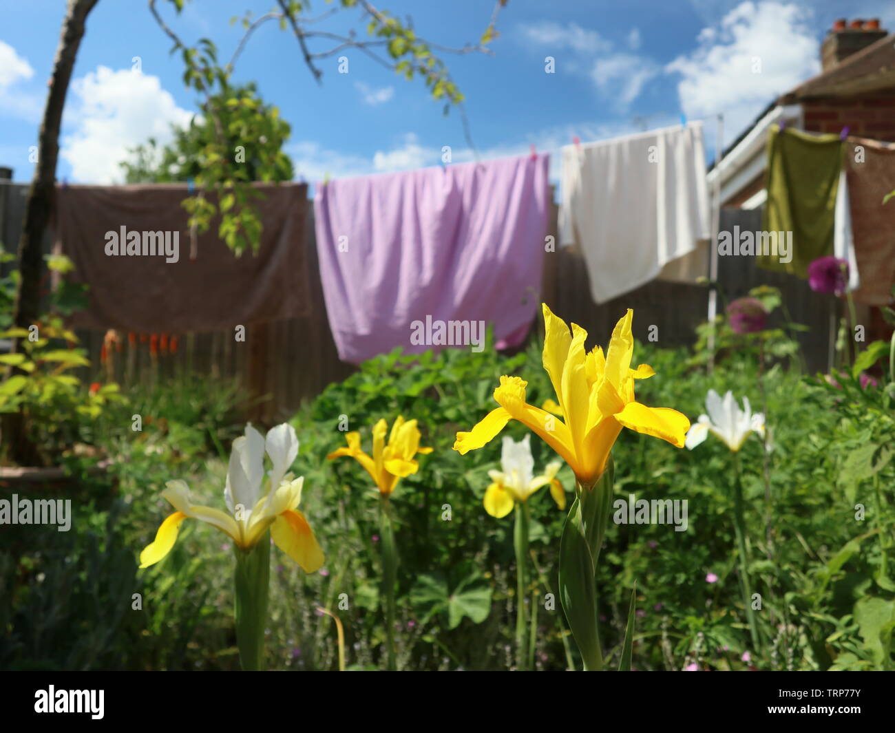 Blankets clothes drying in hi-res stock photography and images - Alamy