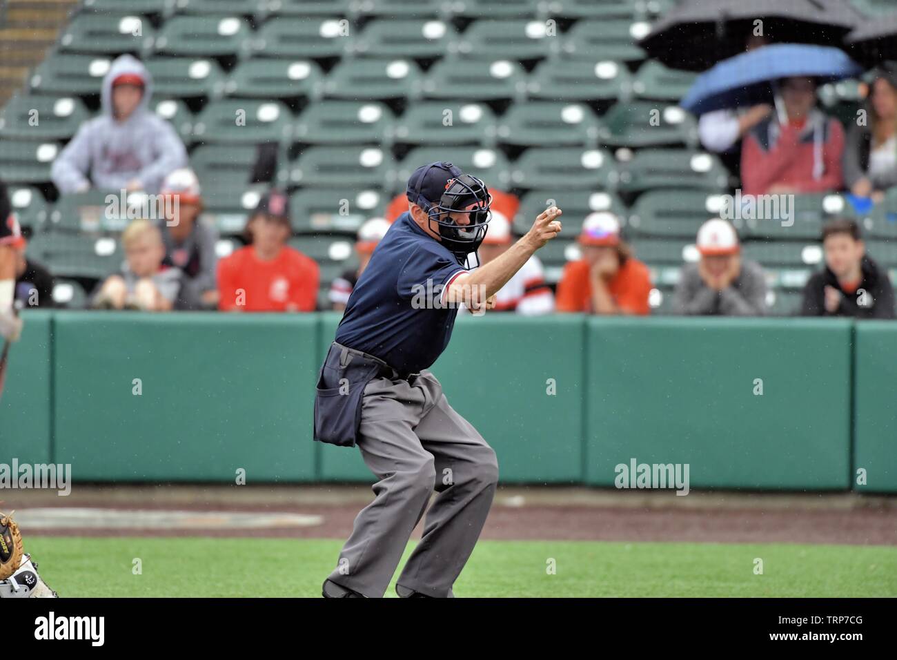 Baseball umpire making call hi-res stock photography and images - Alamy