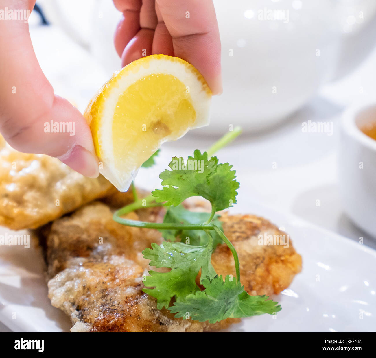 Delicious dim sum, famous cantonese food in asia - Fried fish and ...