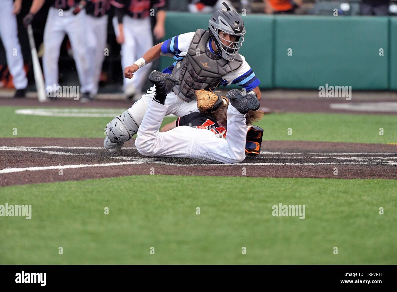 Baseball sliding into home hi-res stock photography and images - Alamy