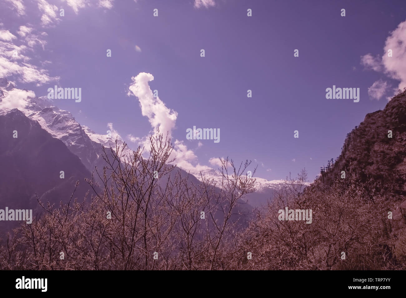 Katao sikkim hi-res stock photography and images - Alamy