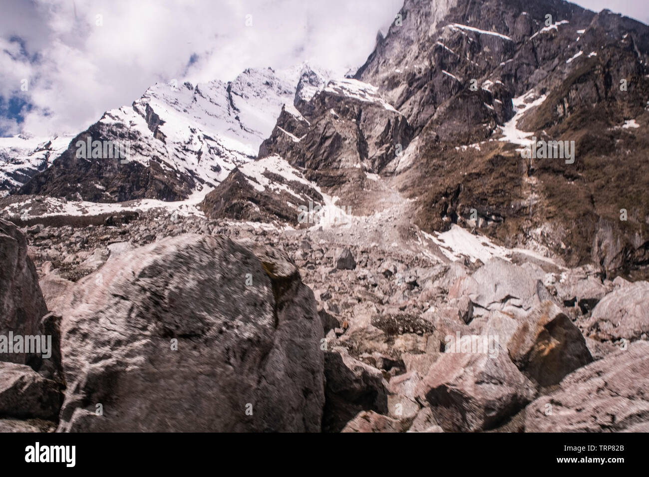 Youngtham valley of flowers hi-res stock photography and images - Alamy
