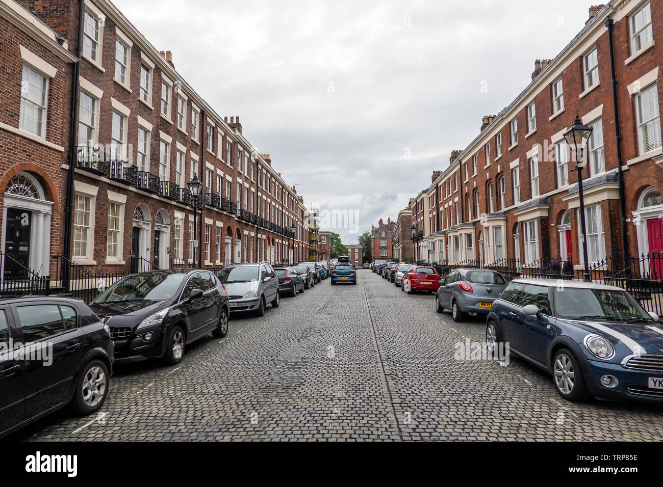 Falkner hi-res stock photography and images - Alamy