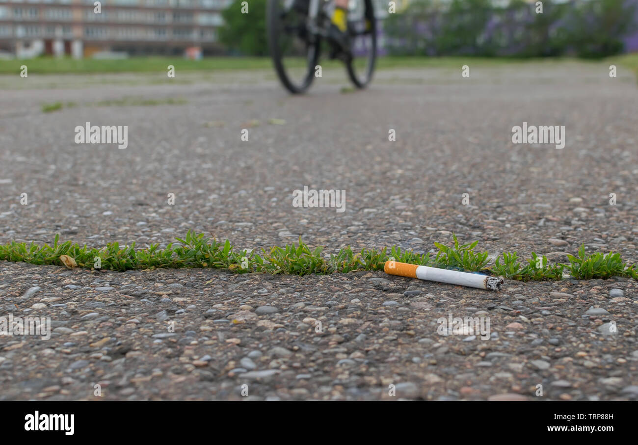 thrown Smoking cigarette butt lie on the asphalt path against the ...