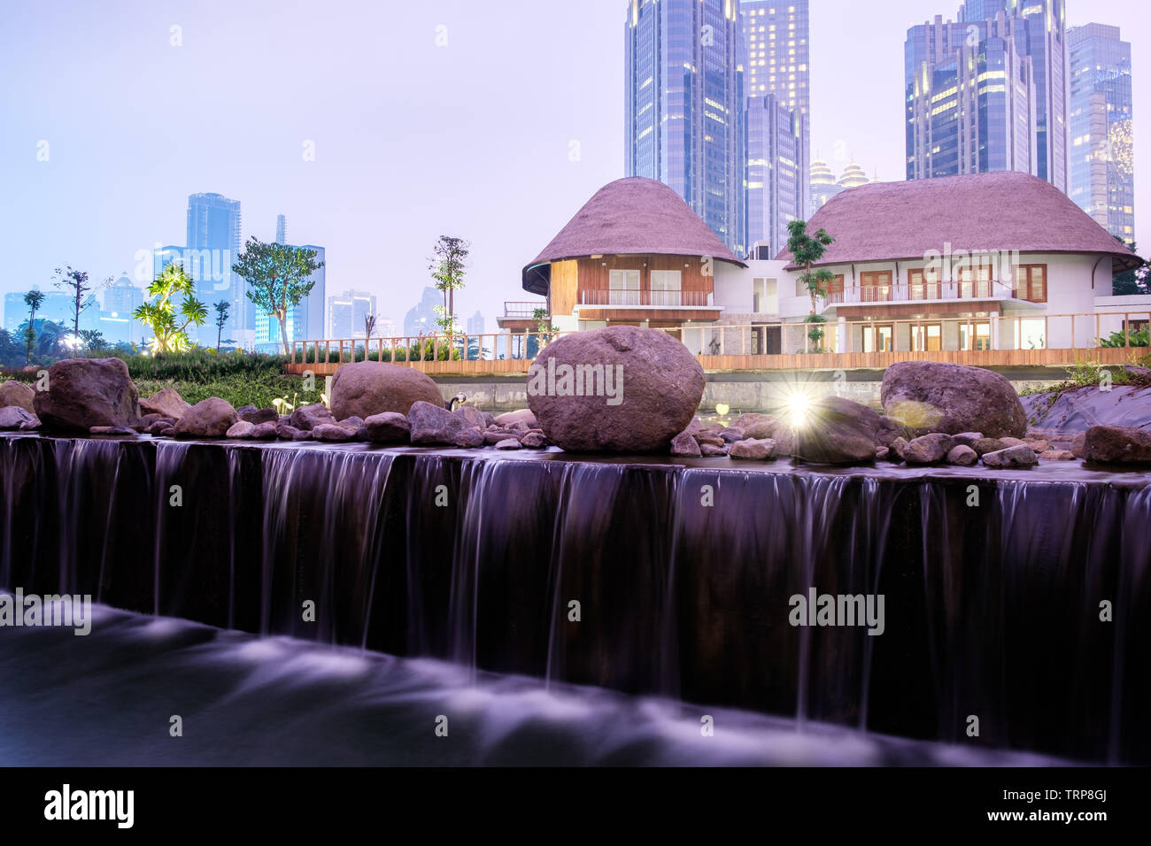 a forest in the middle of the megapolitan city of Jakarta Indonesia ...