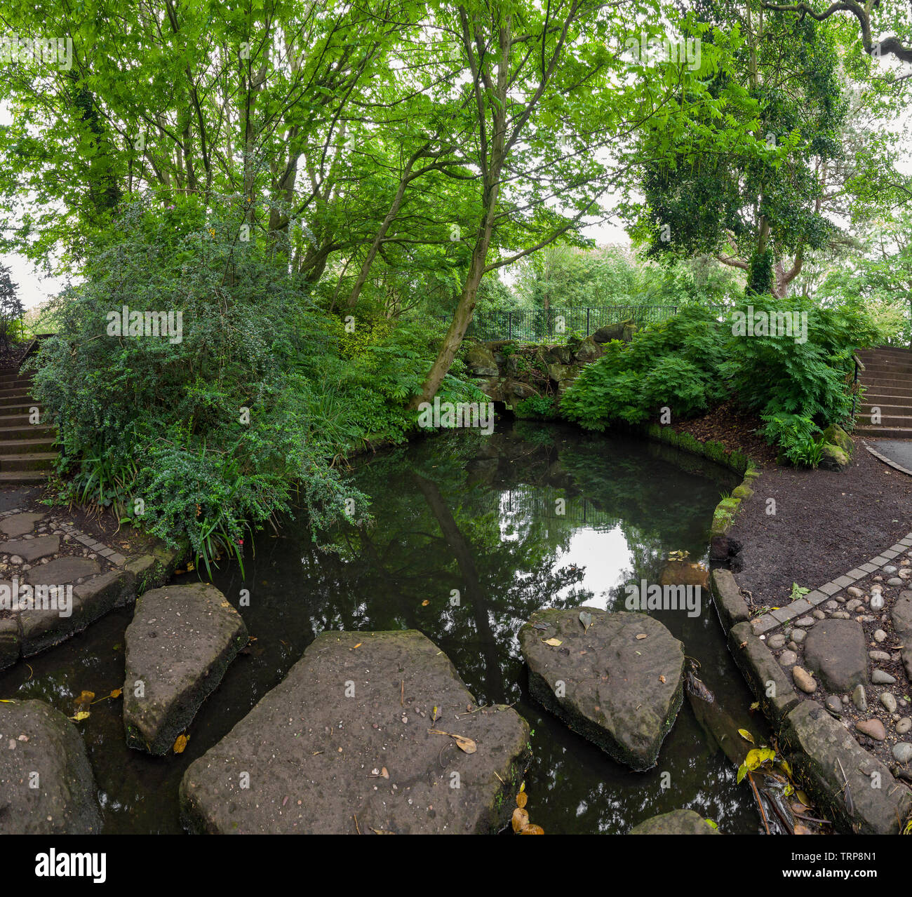 Rock Pool,Sefton Park,Liverpool,England Stock Photo - Alamy