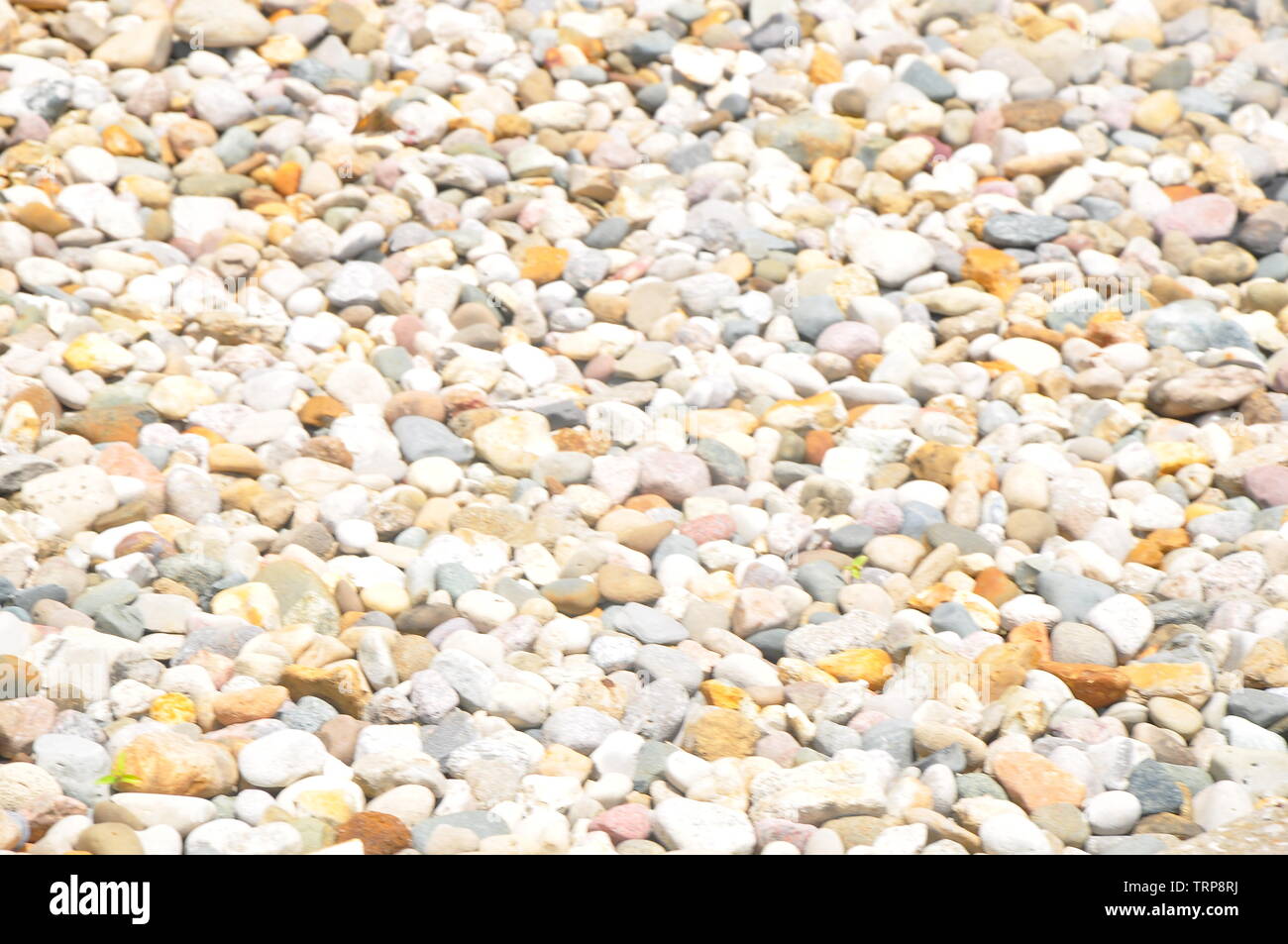 Garden pebbles hi-res stock photography and images - Alamy