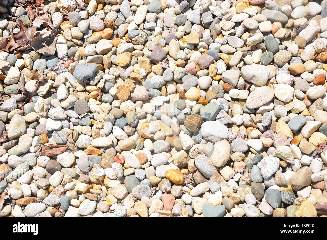 Decorative rock garden hi-res stock photography and images - Alamy