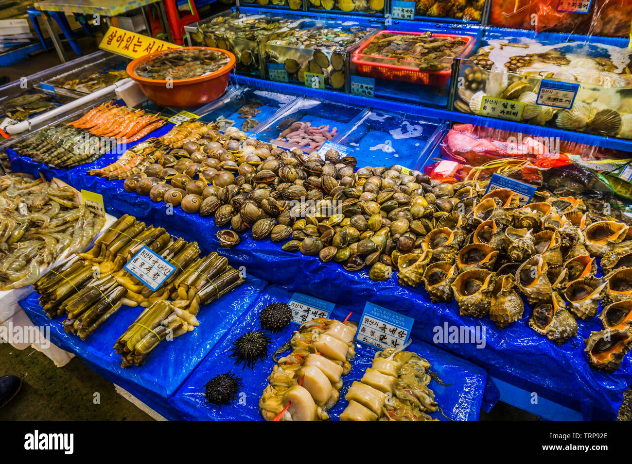 Noryangjin fish market seoul hi-res stock photography and images - Alamy