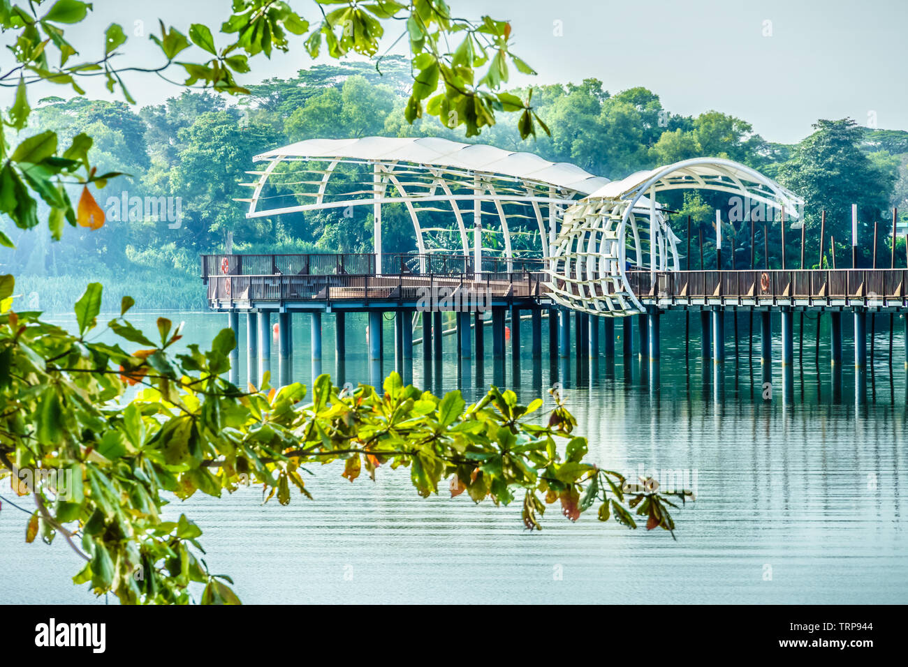 Lower seletar reservoir park singapore hi-res stock photography and ...