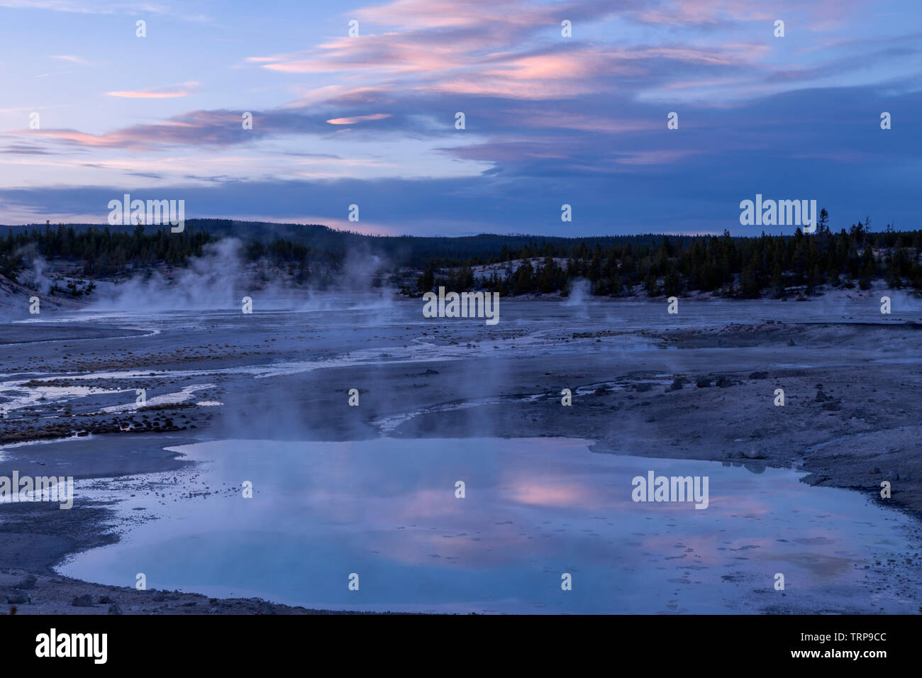 Norris Geyser Basin in Yellowstone National Park Stock Photo - Alamy
