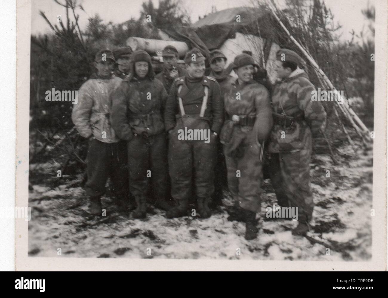 Grille self propelled artillery gun hi-res stock photography and images ...