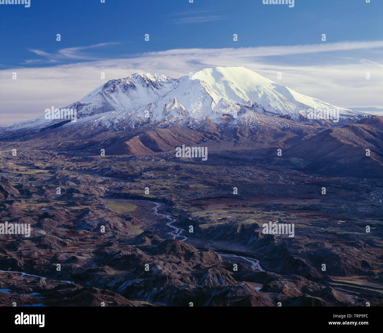 USA, Washington, Mt. St. Helens National Volcanic Monument North side ...