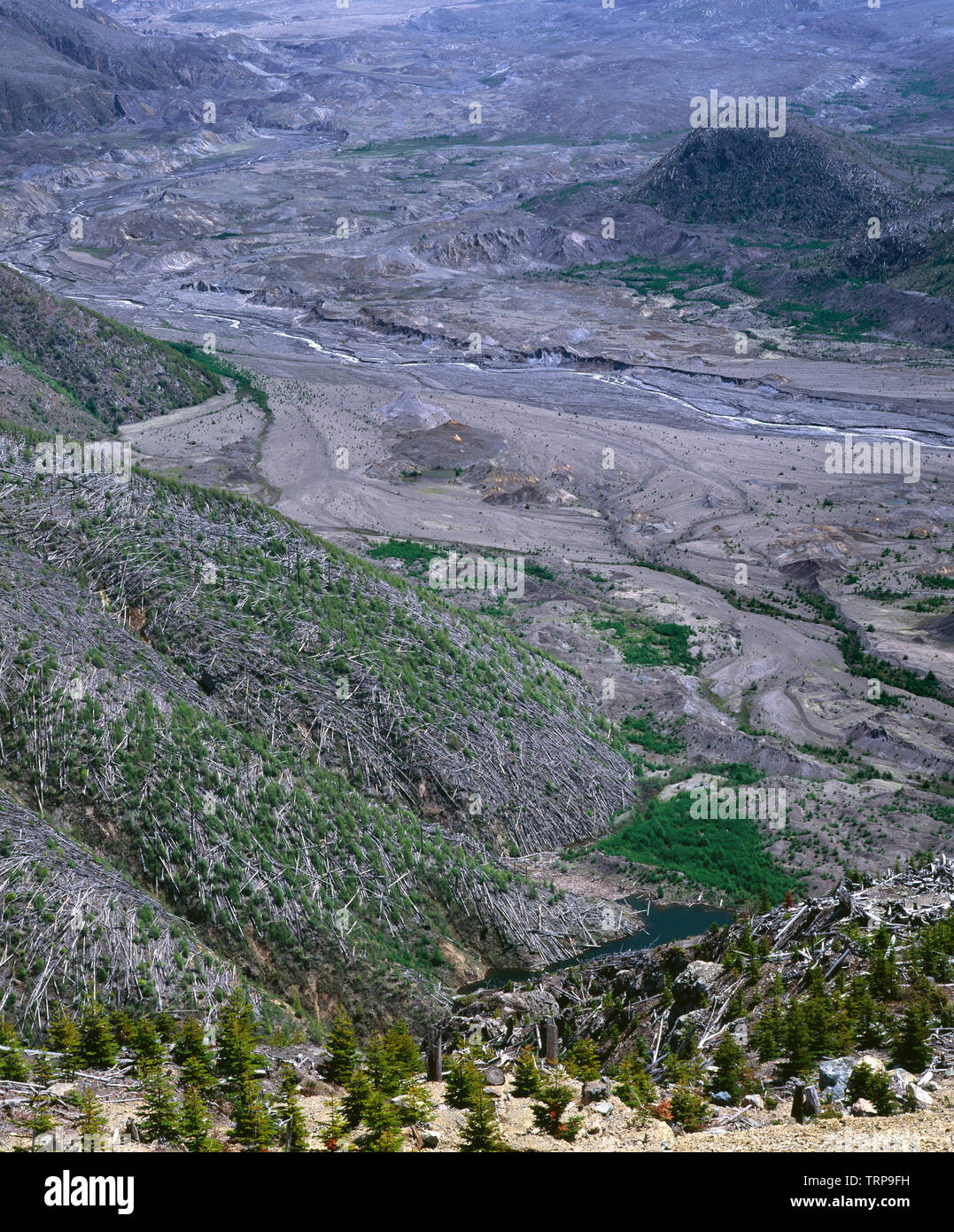 Toutle river hi-res stock photography and images - Alamy
