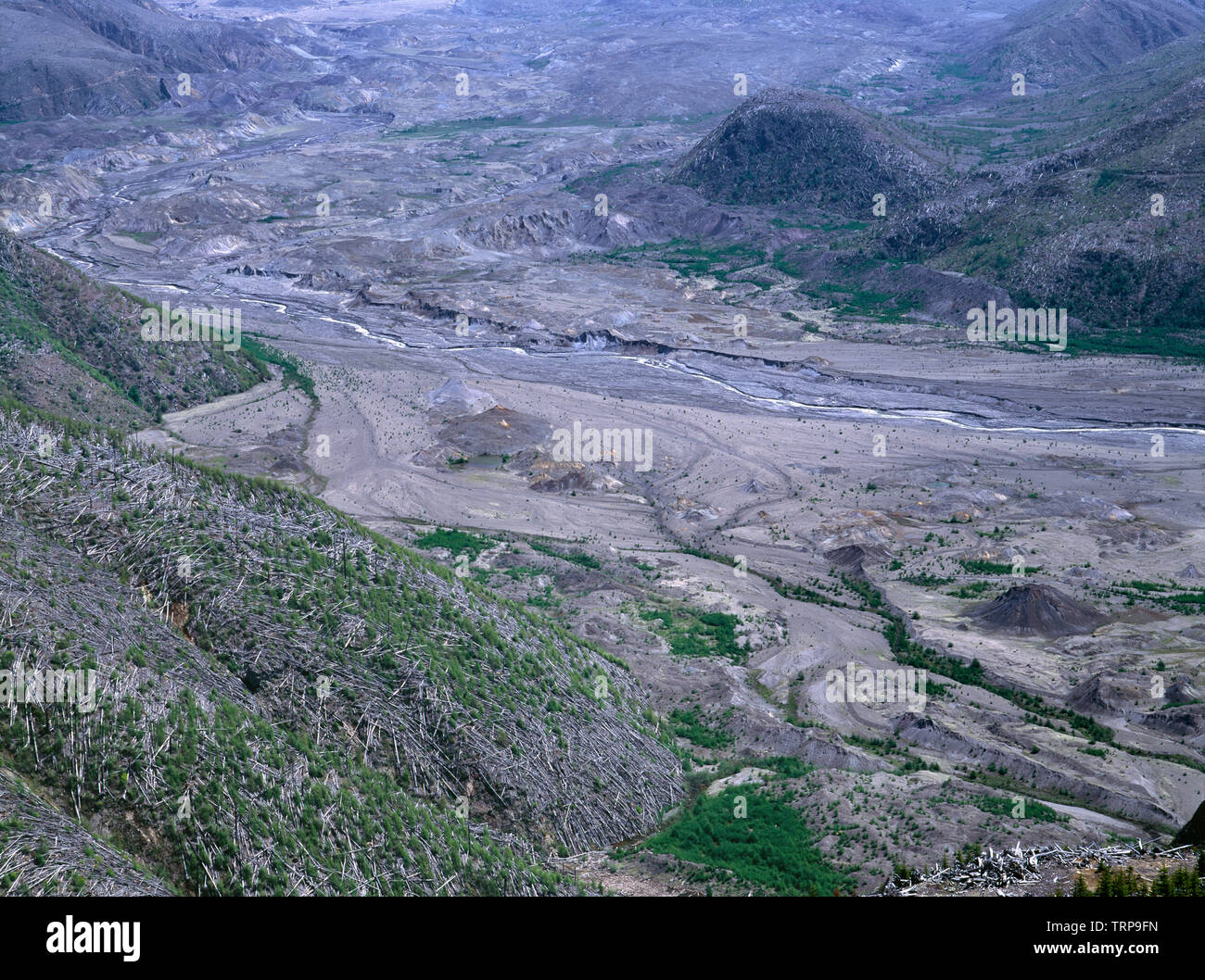 Toutle river hi-res stock photography and images - Alamy