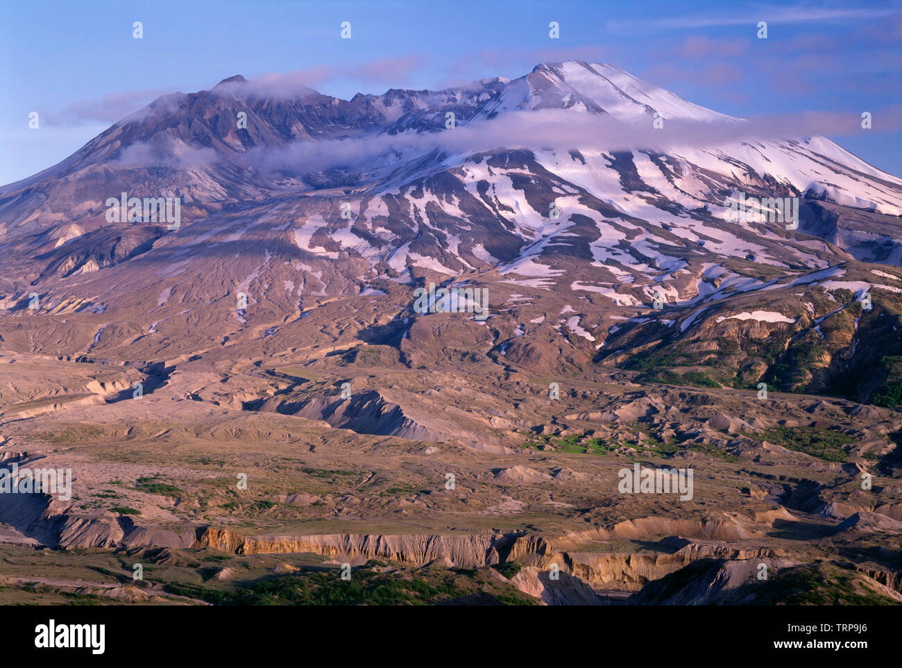 USA, Washington, Mt. St. Helens National Volcanic Monument, North side ...