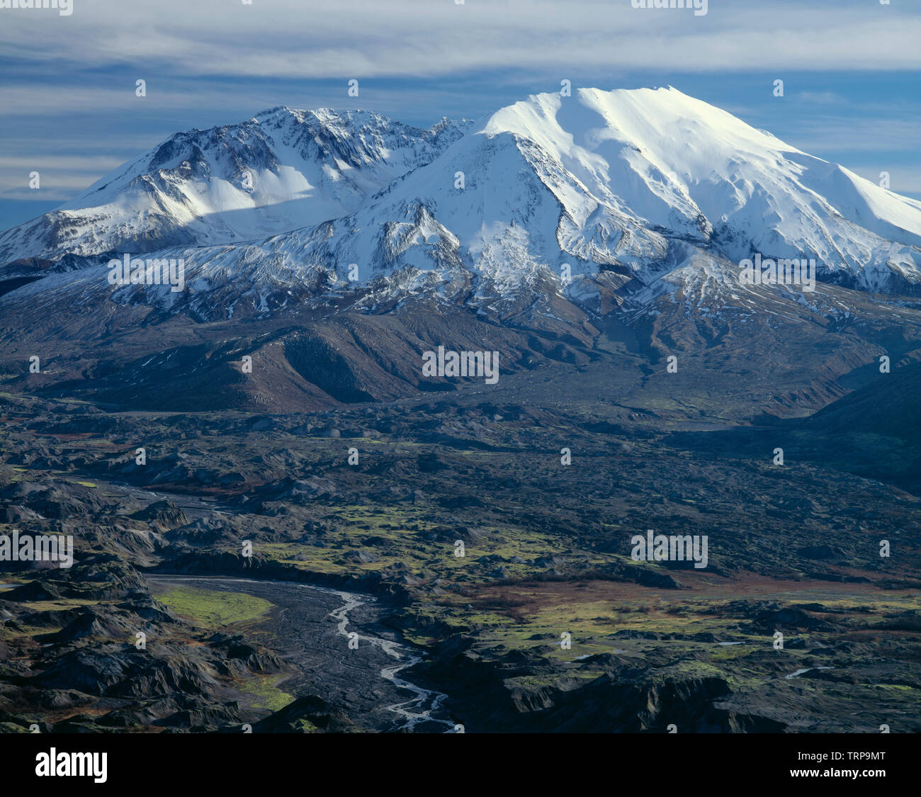 USA, Washington, Mt. St. Helens National Volcanic Monument North side ...