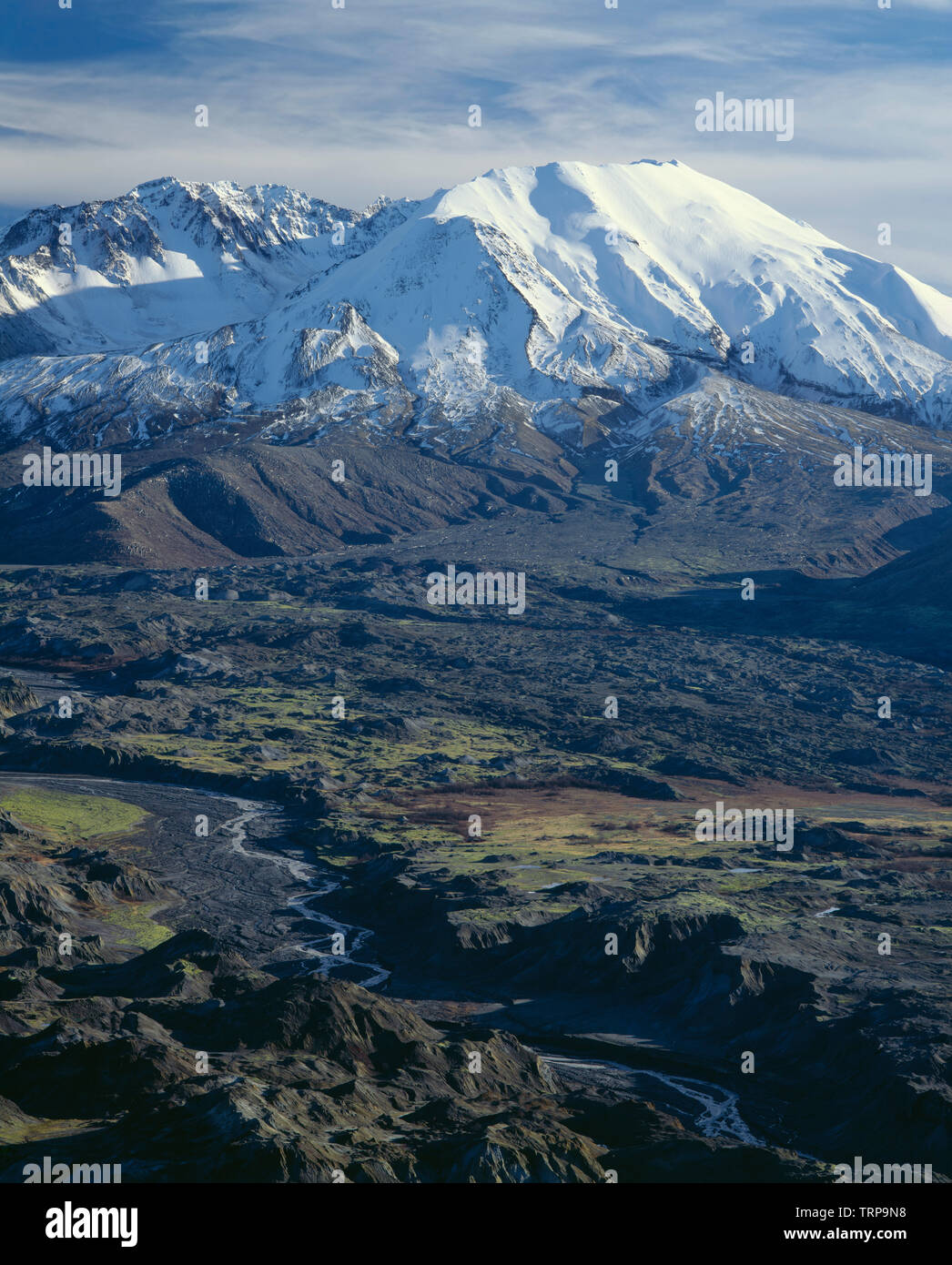 USA, Washington, Mt. St. Helens National Volcanic Monument North side ...
