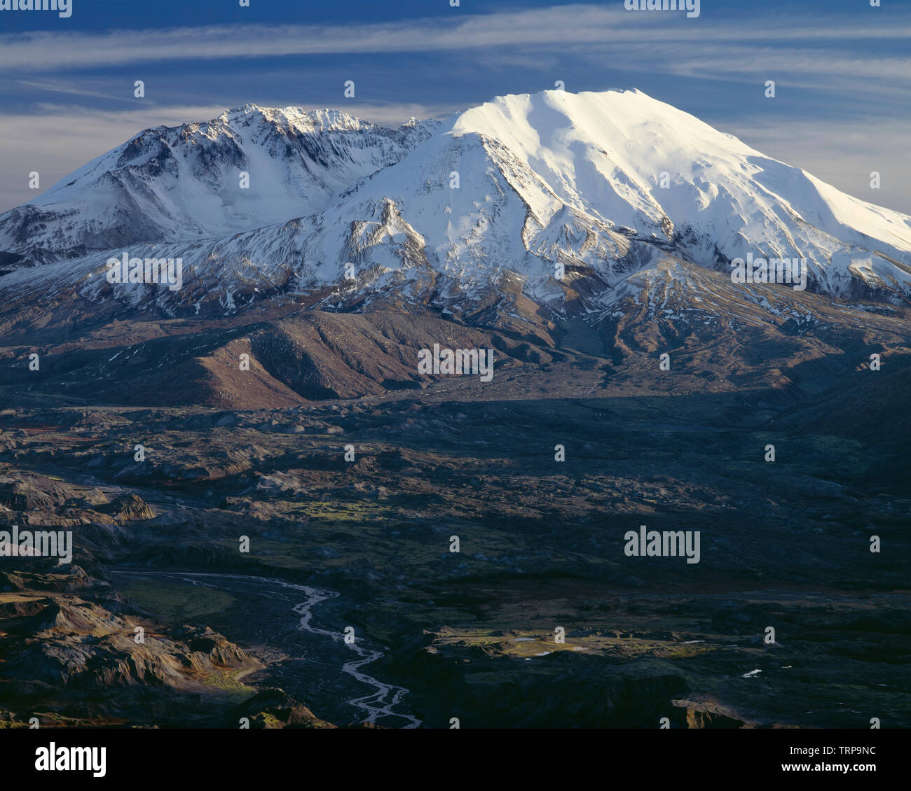 USA, Washington, Mt. St. Helens National Volcanic Monument North side ...