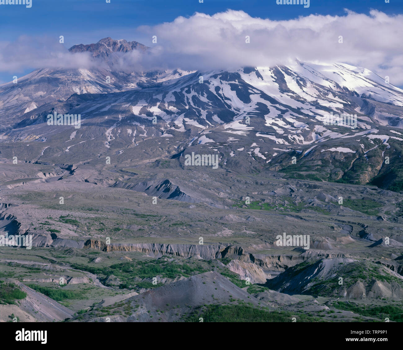 Loowit viewpoint hi-res stock photography and images - Alamy