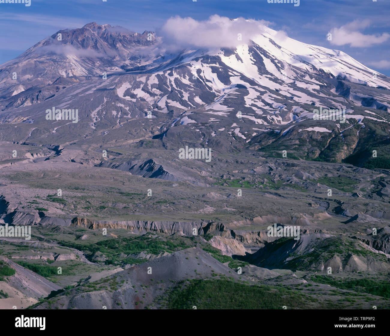 USA, Washington, Mt. St. Helens National Volcanic Monument, North side ...