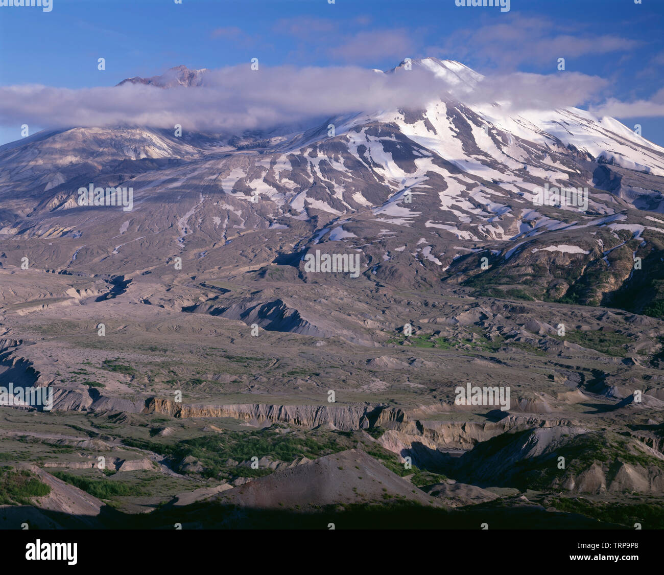 North side mt st helens hi-res stock photography and images - Alamy