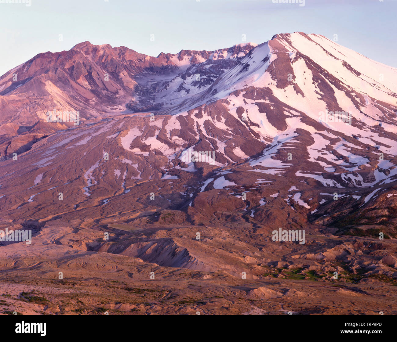 USA, Washington, Mt. St. Helens National Volcanic Monument, North side ...