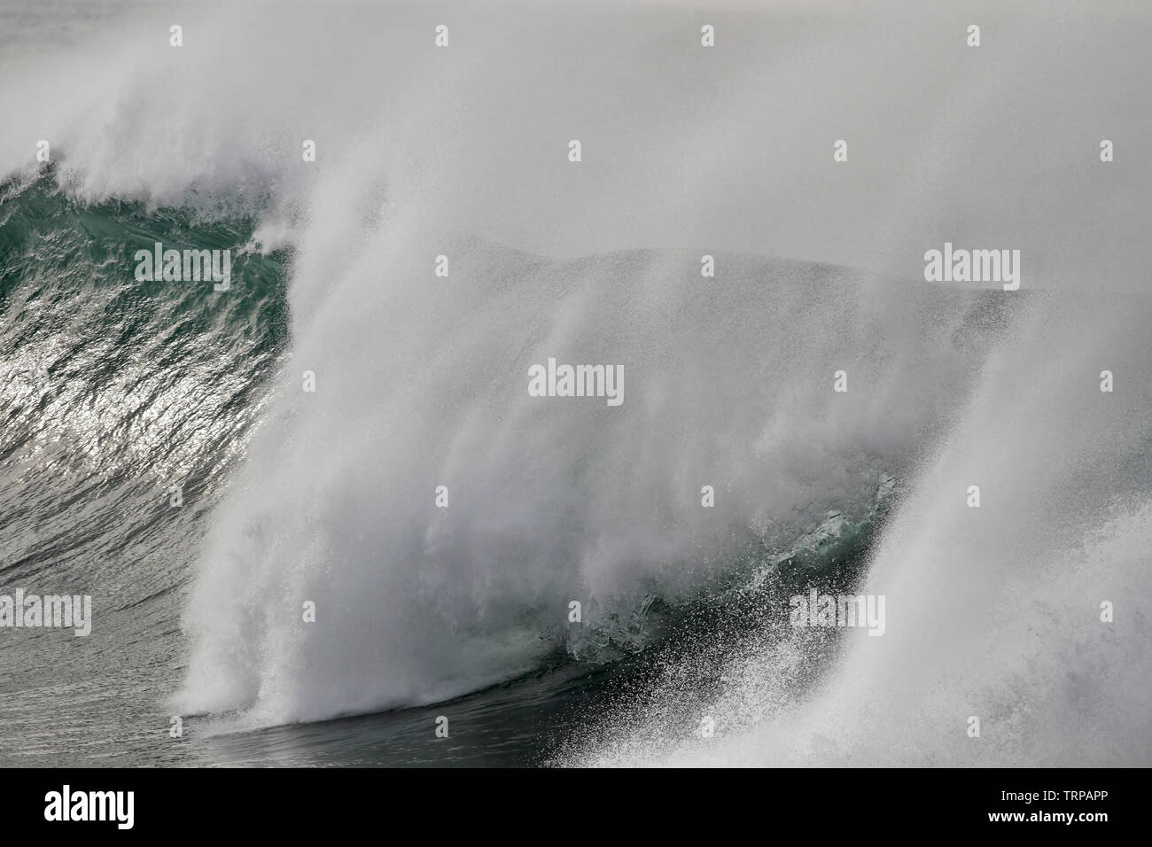 Breaking big stormy green wave spray Stock Photo - Alamy