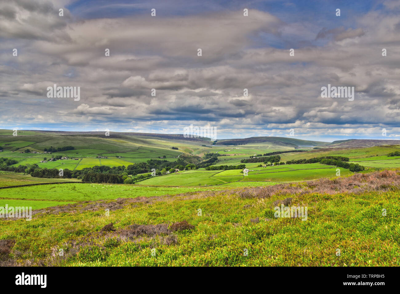 Moorland Landscape from Shackleton Moor looking to Hardcastle Crags ...