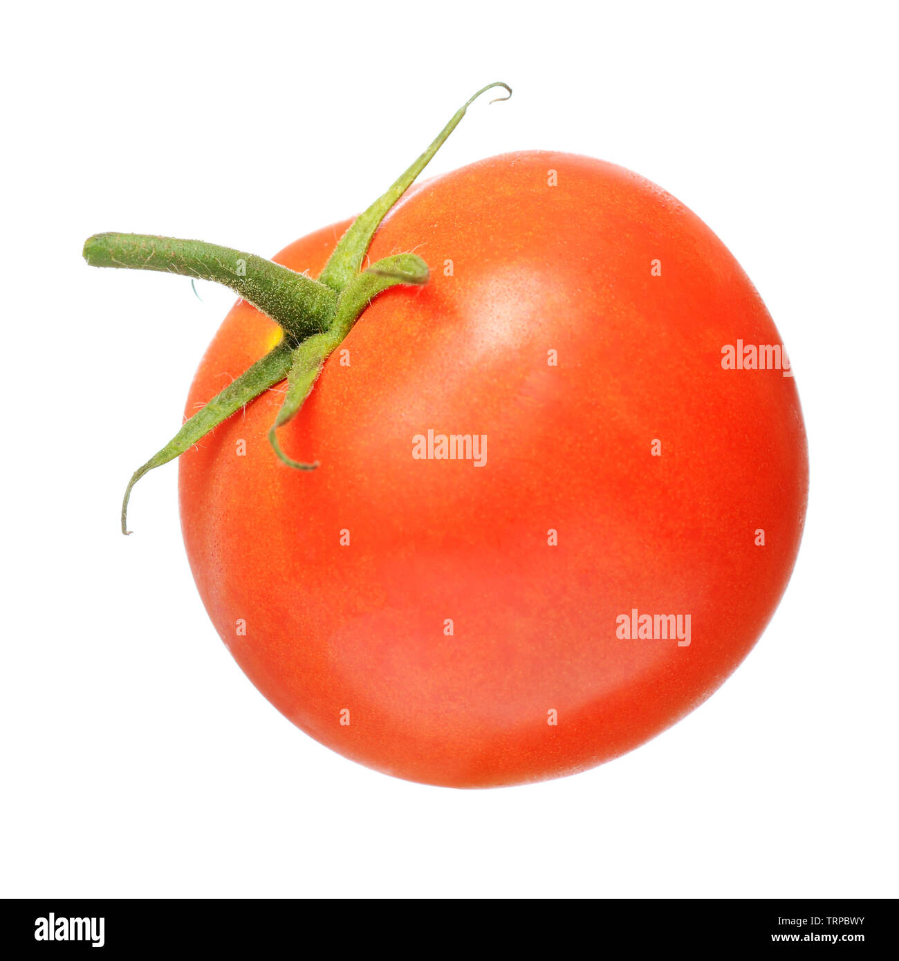 Extreme close up shiny Cut Out Stock Images & Pictures - Alamy