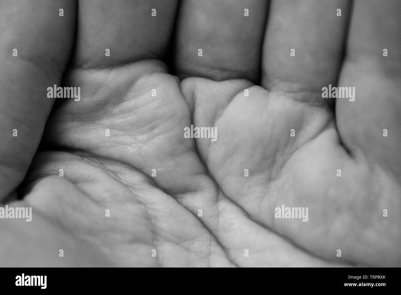 Folds Of Skin High Resolution Stock Photography and Images - Alamy